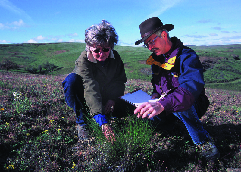 How To Use the Strategy – Oregon Conservation Strategy