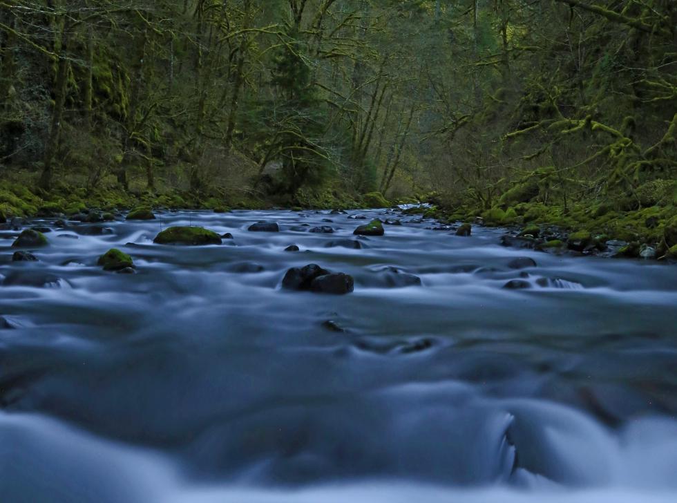 Water Quality and Quantity – Oregon Conservation Strategy